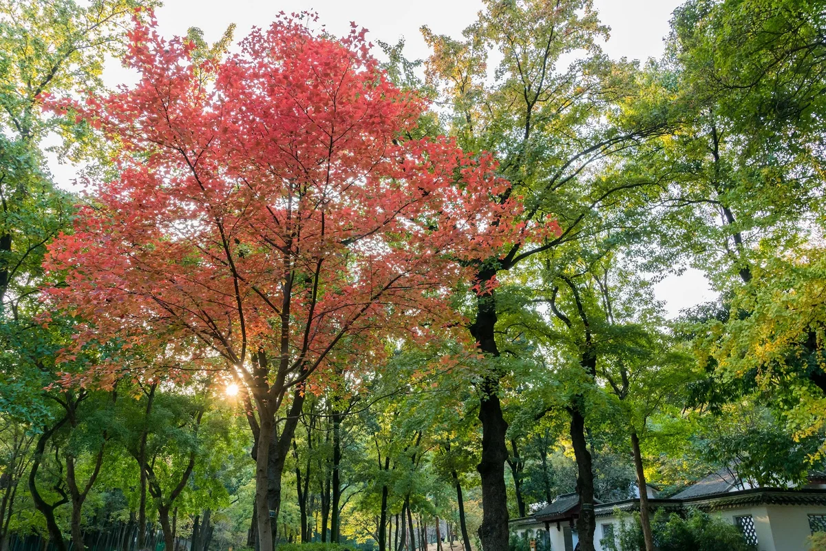 Tianping Mountain in Suzhou | What to Know Before You Go