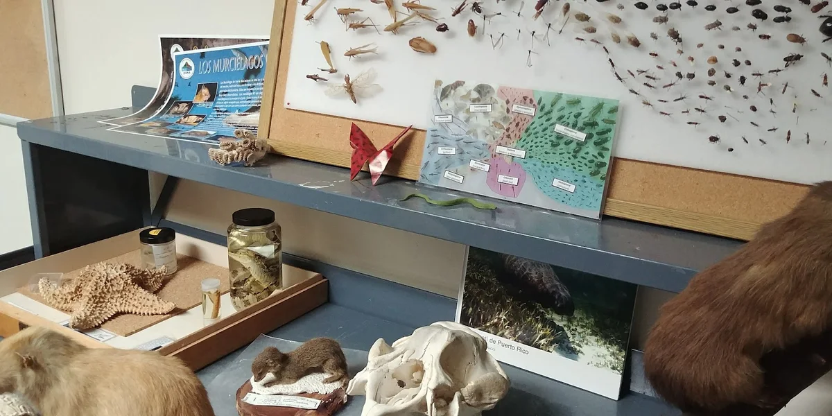 Museo de Zoología UPRRP in San Juan | Ask Anything