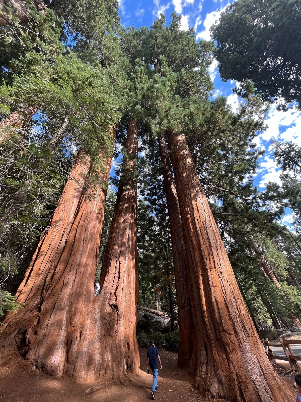 Lost Grove in Hume, California - Ask AI | mindtrip