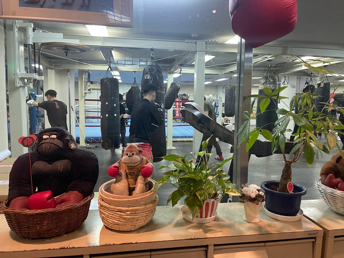 Teiken Boxing Gym in Tokyo | What to Know Before You Go