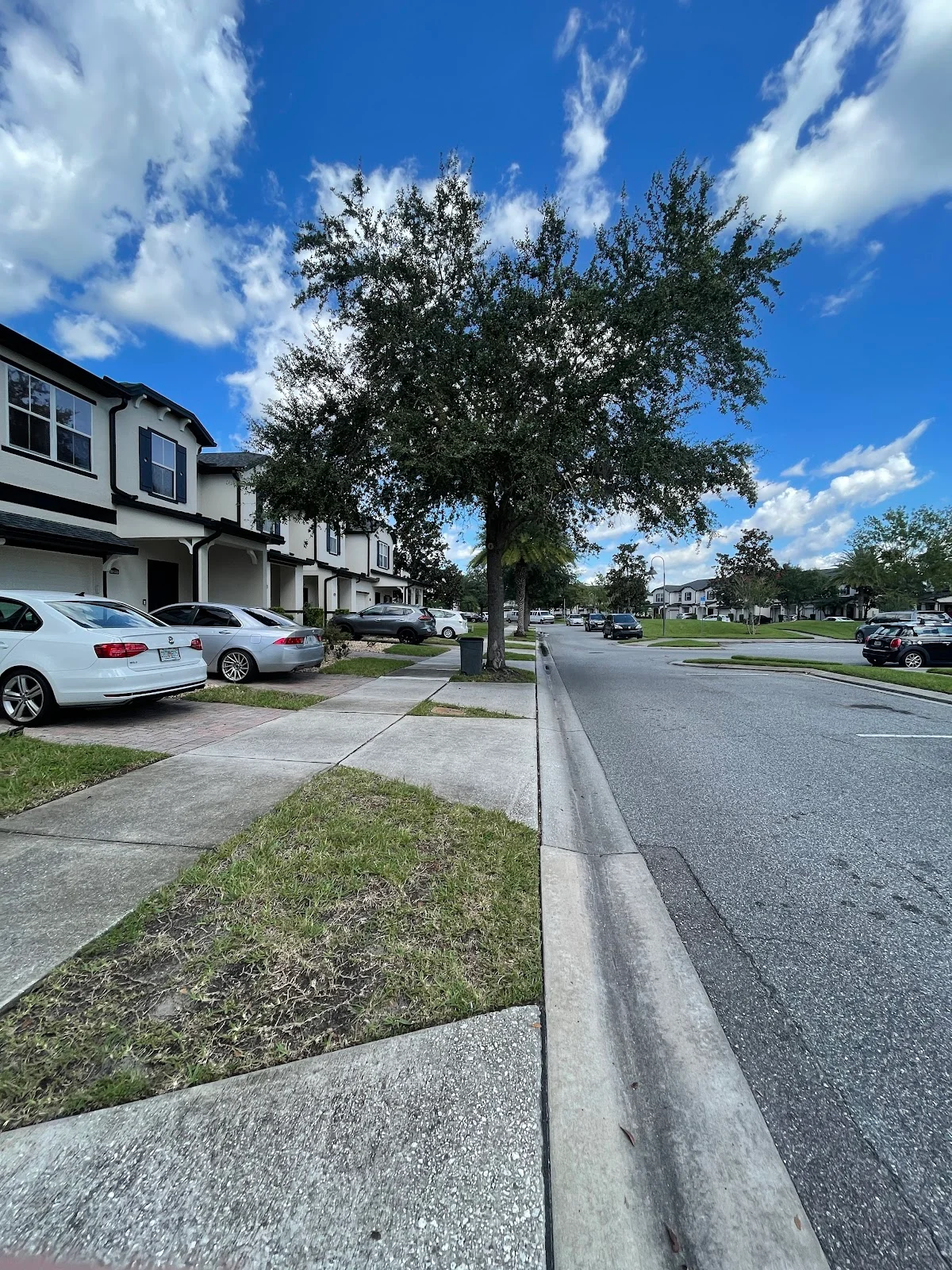Trails at Moss Park in Orlando, Florida - Ask AI | mindtrip