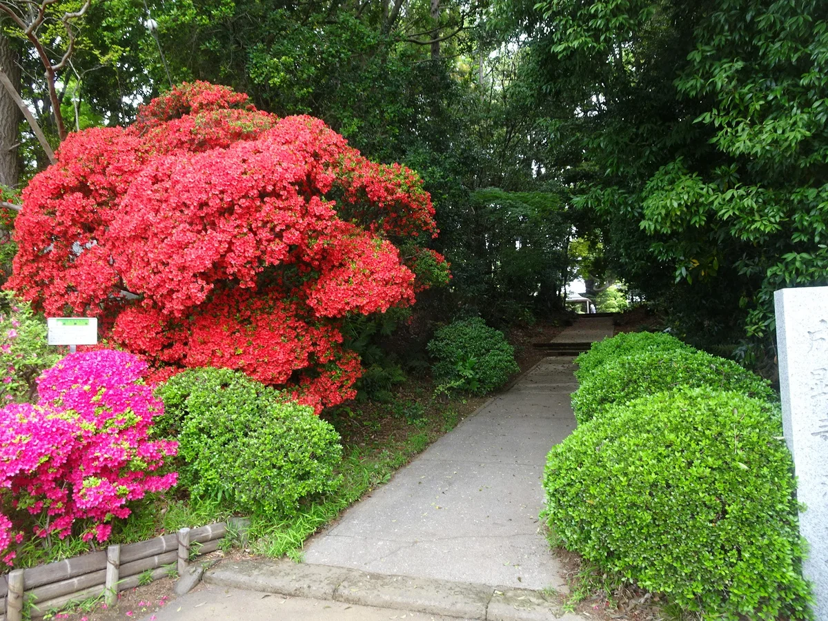 Joken-ji in Nagareyama, Chiba - Ask AI | mindtrip