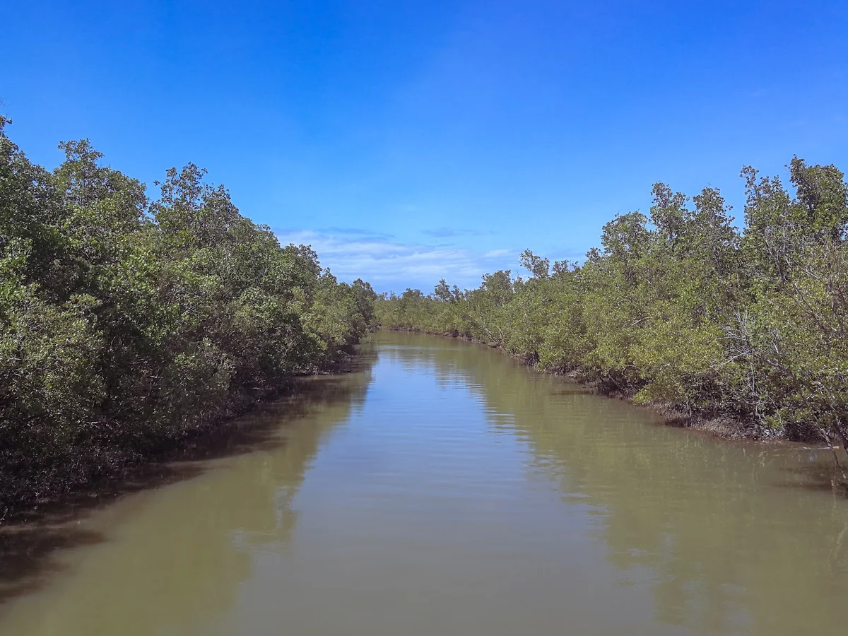 Bakhawan Ecopark in Kalibo, Visayas - Ask AI | mindtrip