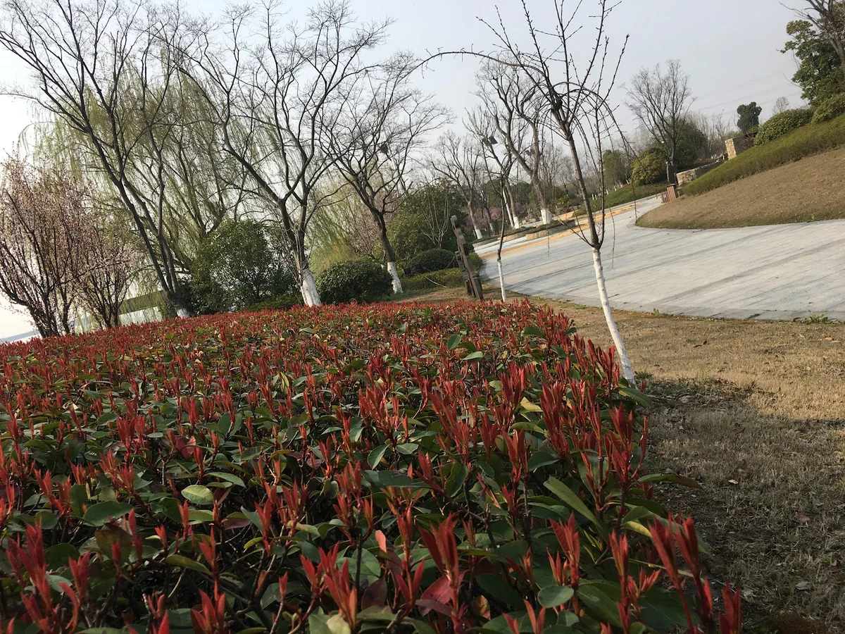 Yangzhong Land Park in Yangzhong - Ask AI | mindtrip