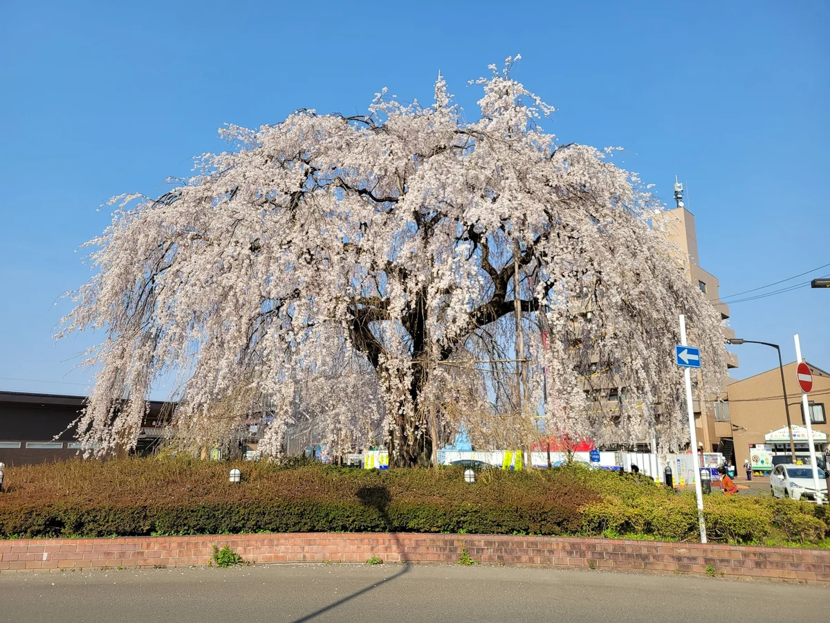 Ayashi Station in Sendai | What to Know Before You Go