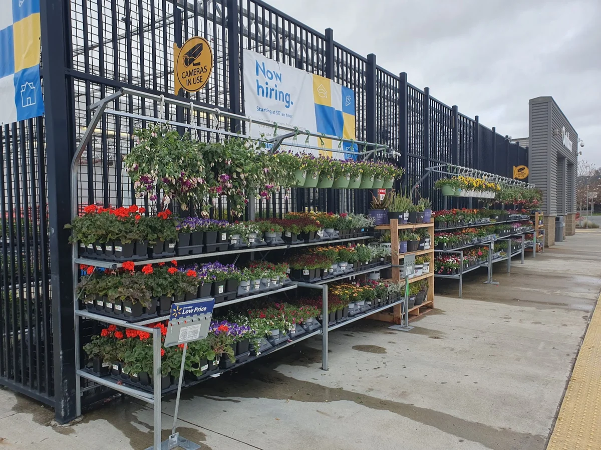 Walmart Supercenter in Renton | What to Know Before You Go