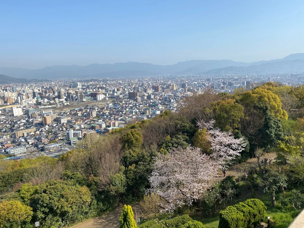 Matsuyama General Park | What to Know Before You Go