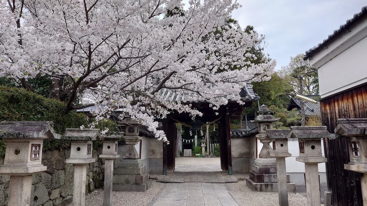 Koriyama Hachiman-Jinja Shrine | What to Know Before You Go