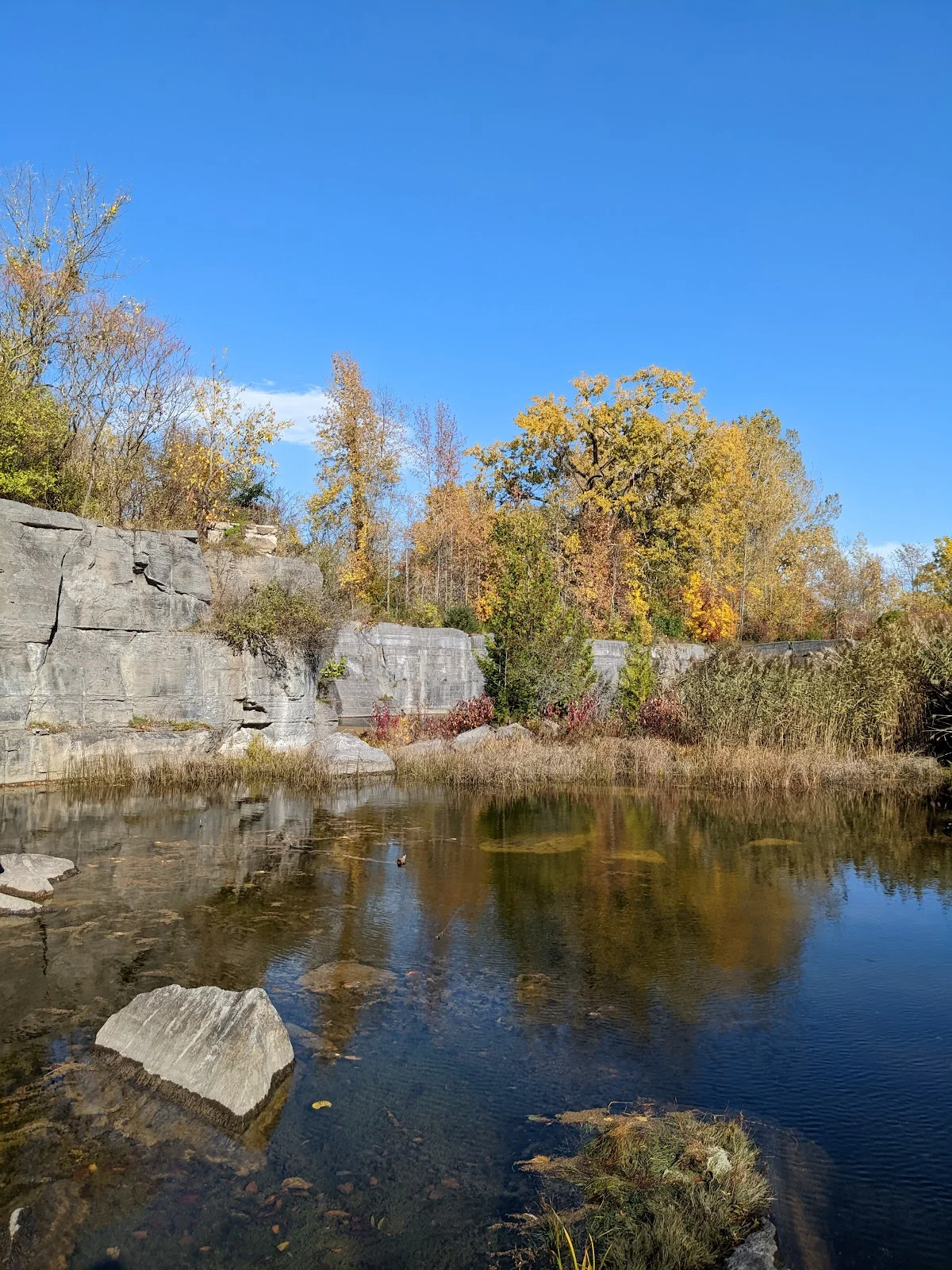 Fisk Quarry Preserve | What to Know Before You Go