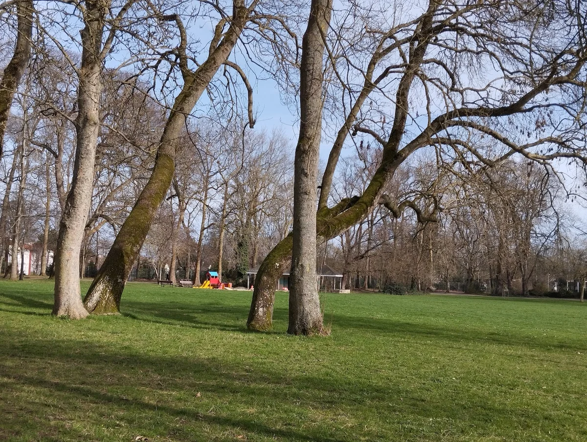 Parc de la Fossette | What to Know Before You Go