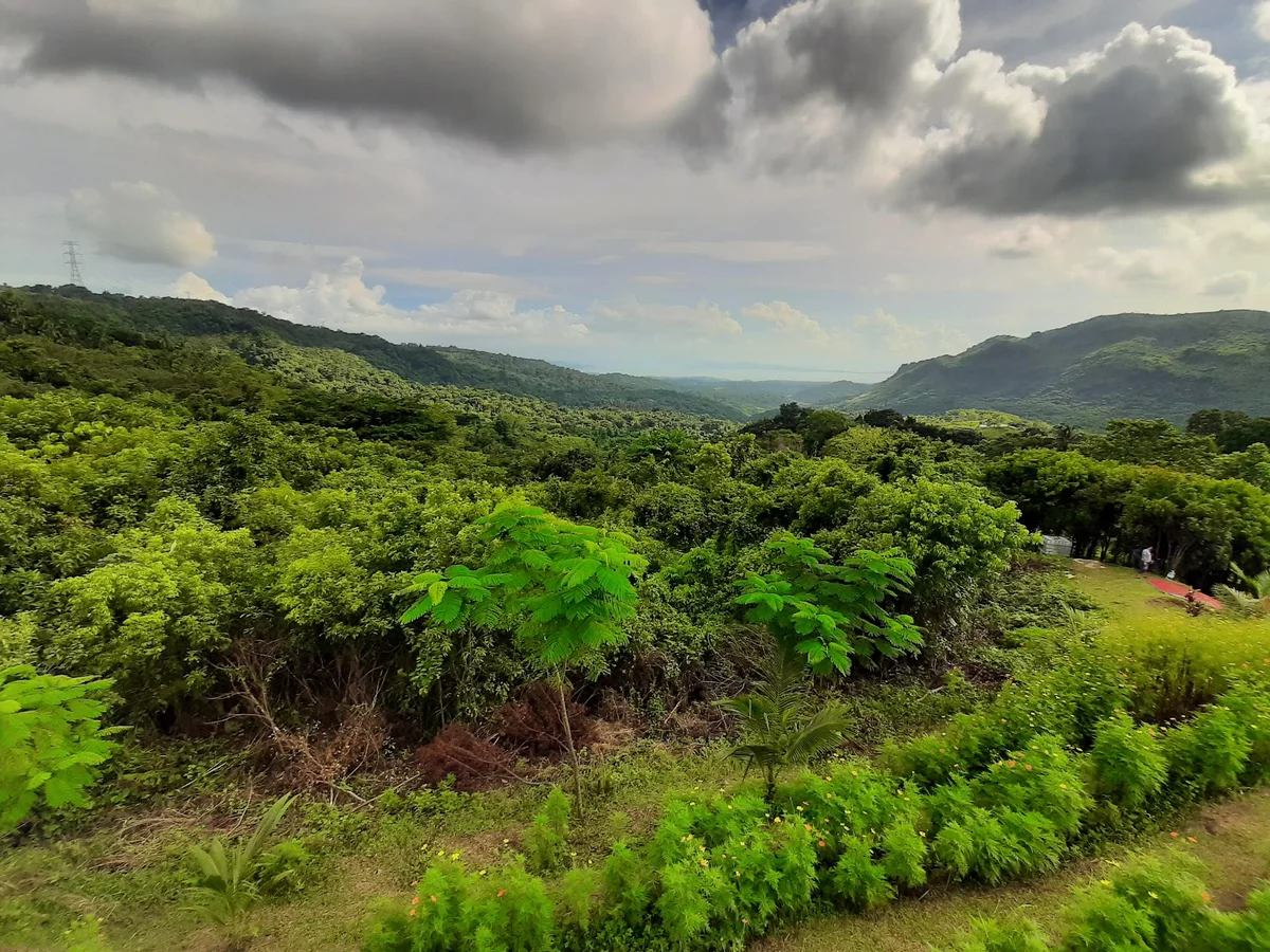 Lambingan Hills in Tanay, Calabarzon | Ask Anything