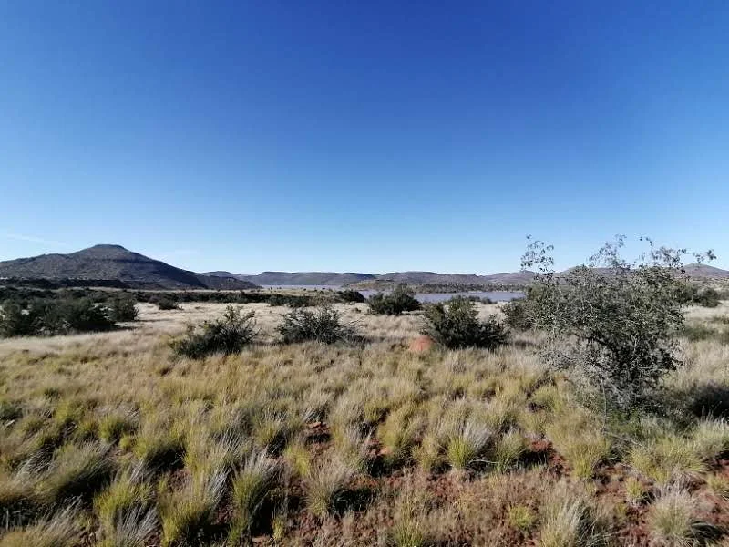 Doornkloof Nature Reserve - Ask AI | mindtrip