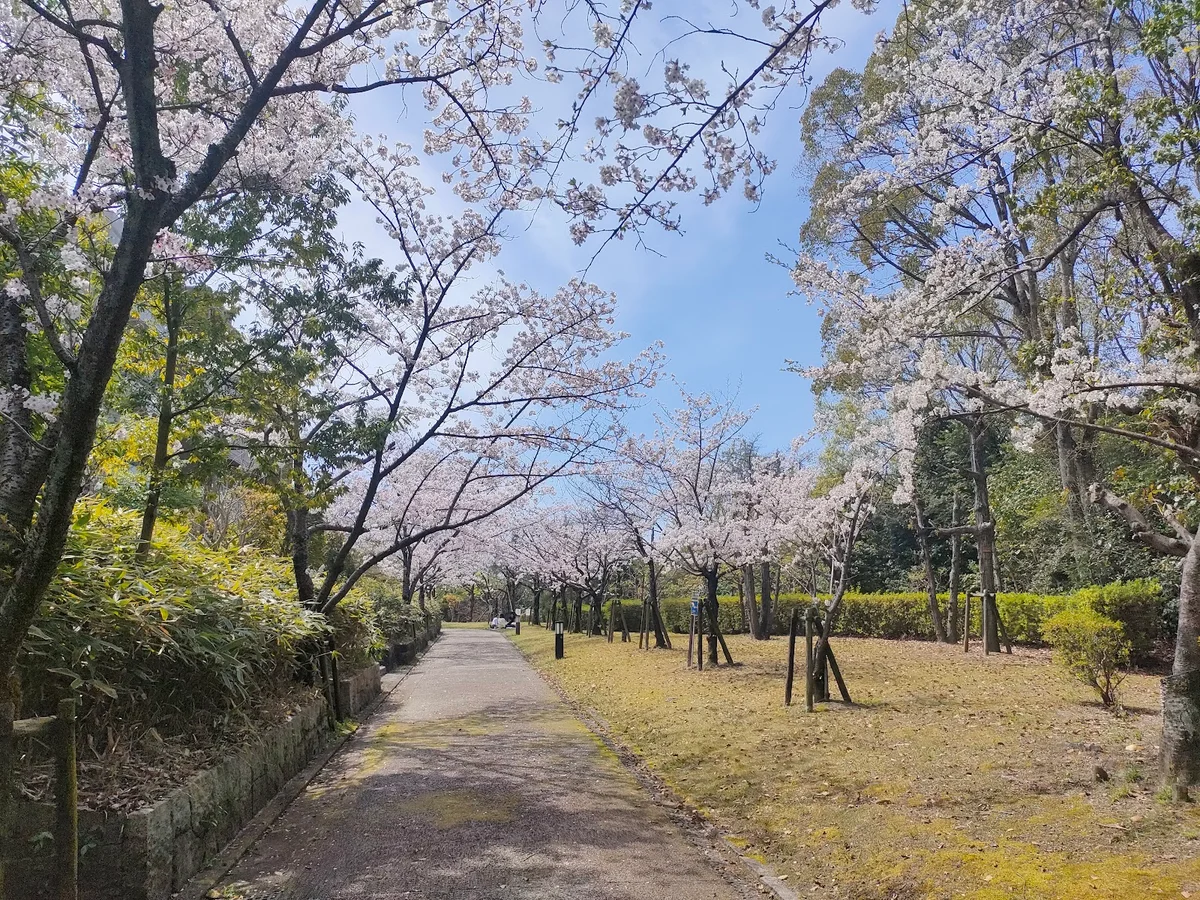 Suishoyama Ryokuchi Park in Nisshin - Ask AI | mindtrip