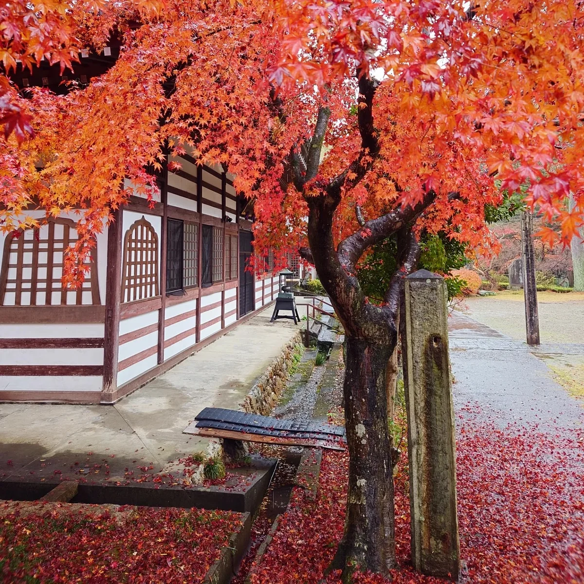 Chorin-ji in Ashikaga - Ask AI | mindtrip