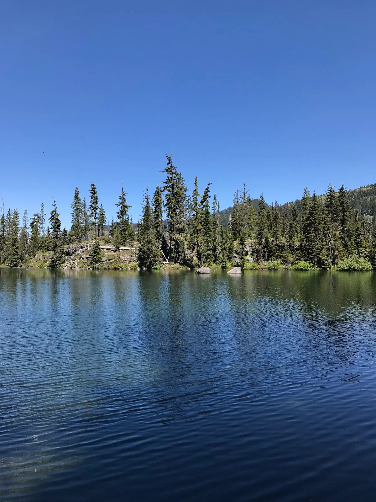 Vivian Lake Trailhead in Oregon | What to Know Before You Go