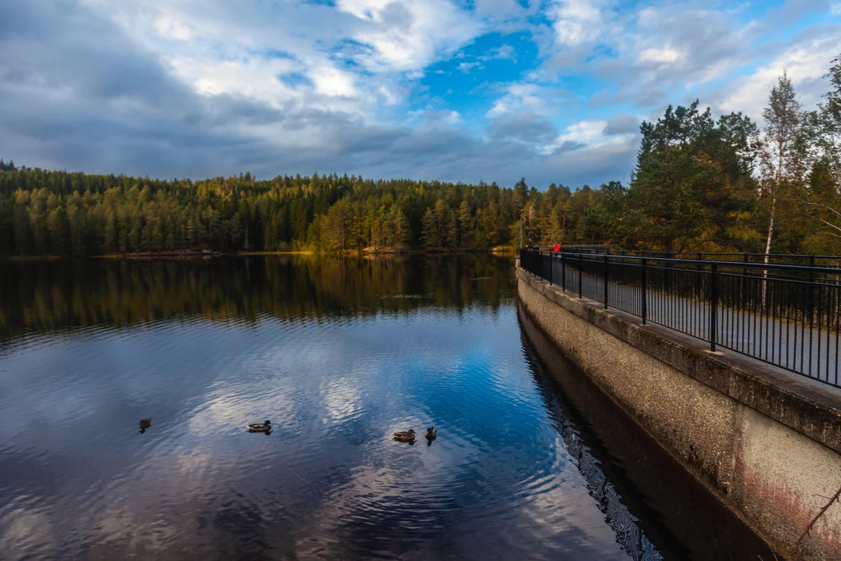 Bymarka in Trondheim, Trøndelag - Ask AI | mindtrip
