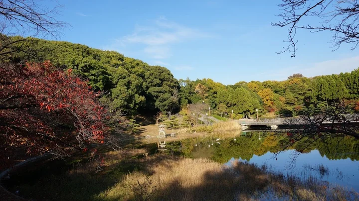 Ryokuchikoen in Osaka | What to Know Before You Go