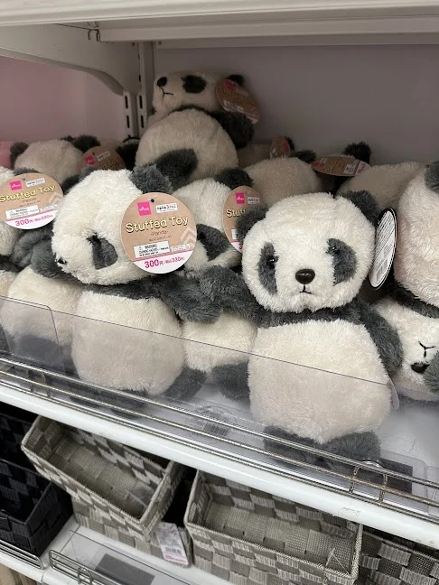 DAISO in Honolulu, Hawaii | What to Know Before You Go