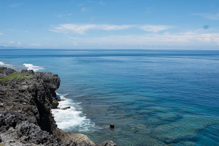 Yanbaru National Park in Kunigami-son - Ask AI | mindtrip