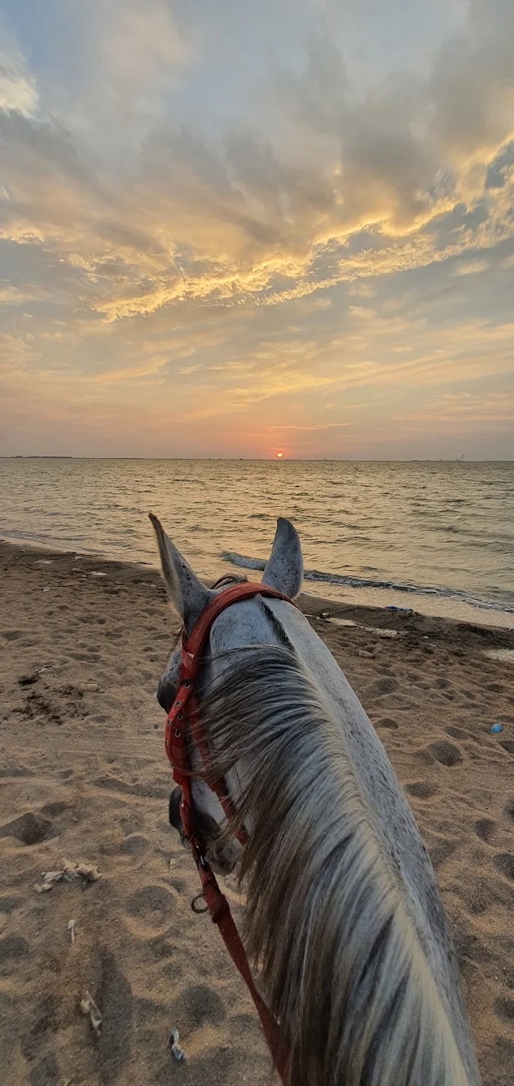 Horse Beach in Dahaban, Makkah Province - Ask AI | mindtrip
