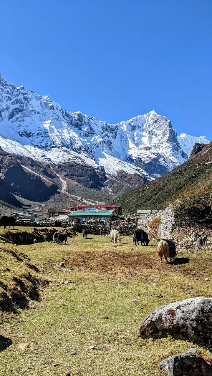 Thame Monastery in Thami, Koshi Province - Ask AI | mindtrip