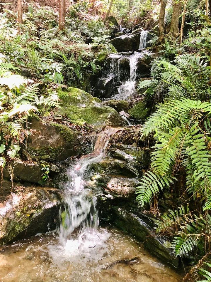 Seven Steps Waterfall in Nishio - Ask AI | mindtrip