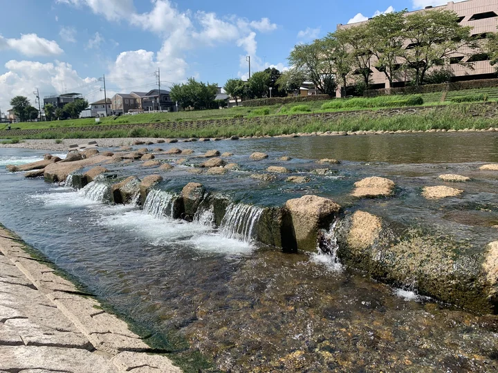 Kurokawa Ryokuchi Park in Kanuma | Ask Anything