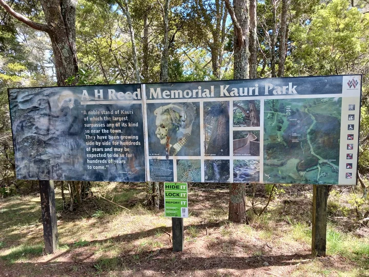 Paranui Falls Lookout | What to Know Before You Go