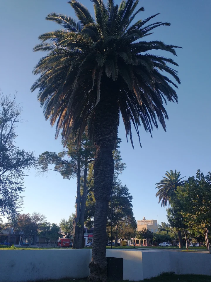 Plaza Argentina in Huinca Renanco | Ask Anything