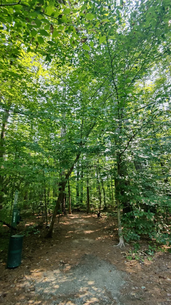 Headwaters Loop Trail in Durham - Ask AI | mindtrip