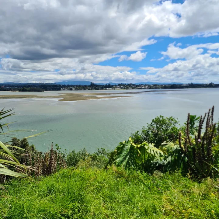 Te Ariki Park in Tauranga | What to Know Before You Go