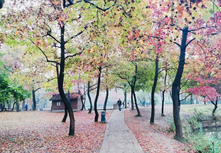 Tianping Mountain in Suzhou | What to Know Before You Go