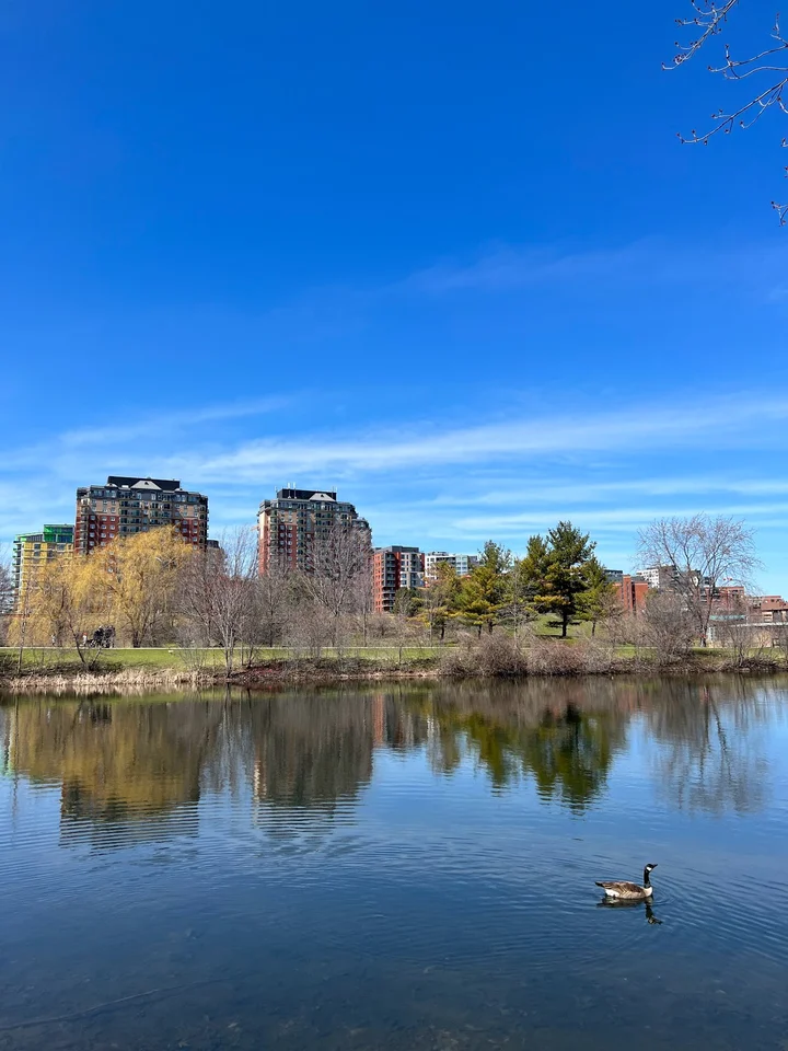 Parc Angrignon in Westmount | What to Know Before You Go