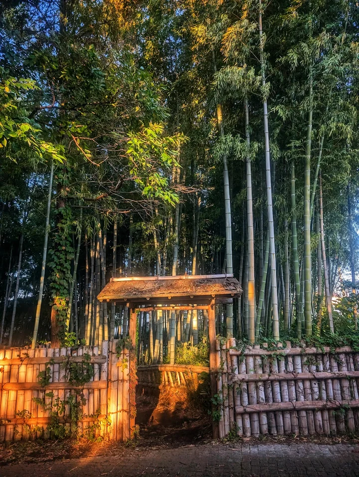 Chikurin Park in Higashikurume, Tokyo - Ask AI | mindtrip