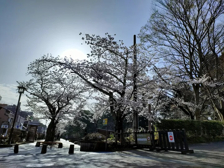 Kuromonmae Ryokuchi Park | What to Know Before You Go