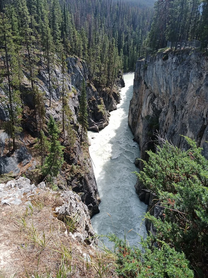 Maligne Lookout in Jasper | What to Know Before You Go