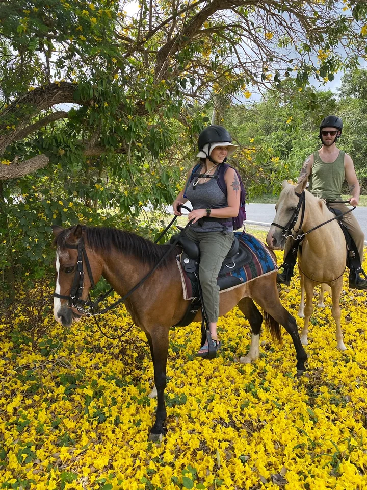 Jurutungo Farm & Sanctuary | What to Know Before You Go
