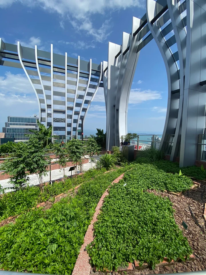 Sky Garden at CapitaSpring | What to Know Before You Go