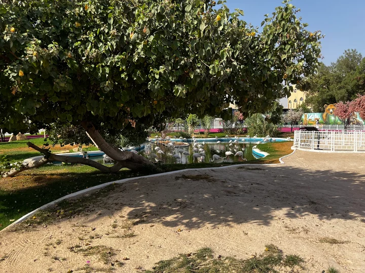 Riyadh zoo enchanted forest in Riyadh - Ask AI | mindtrip