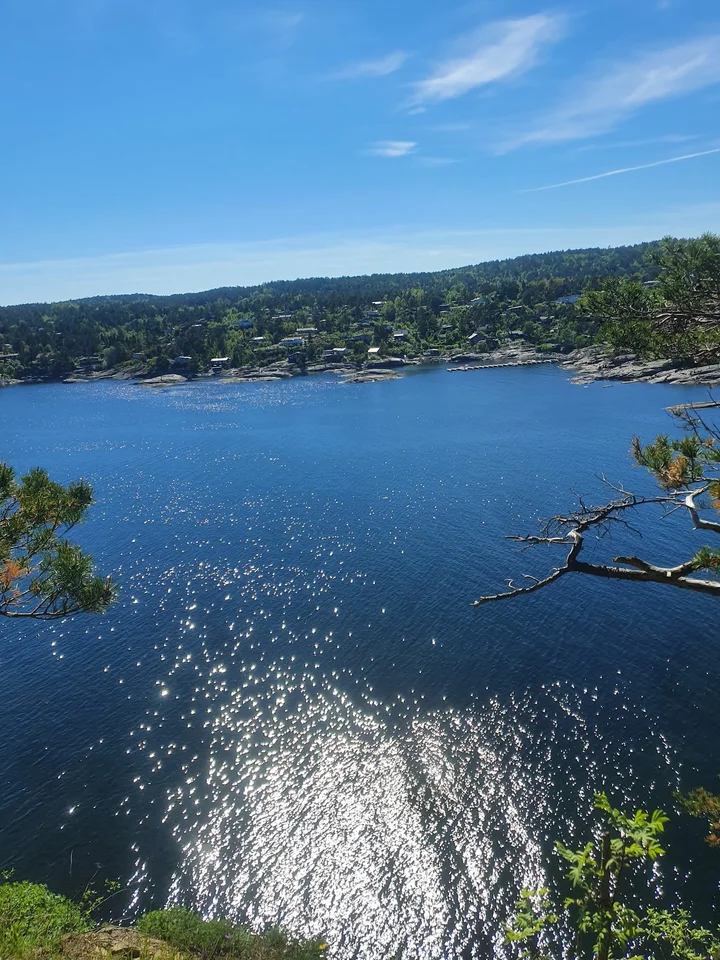 Tangvald Nature Reserve in Stathelle - Ask AI | mindtrip