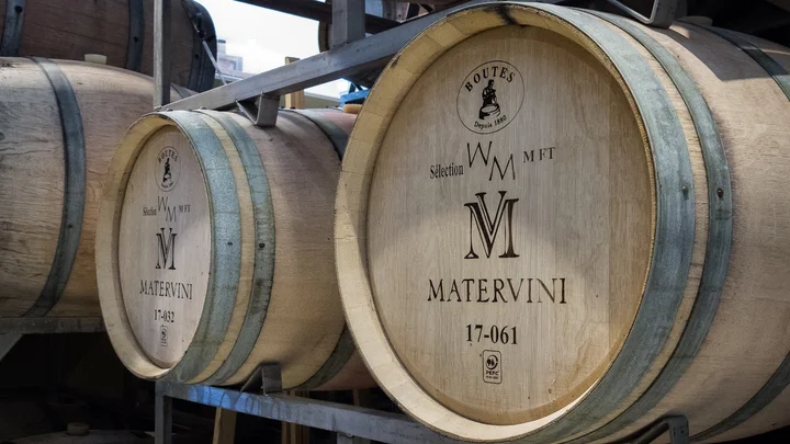 Bodega Matervini in Lujan de Cuyo, Mendoza | Ask Anything