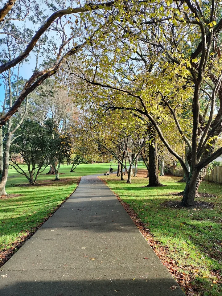 Sunnynook Park in Sunnynook, Auckland - Ask AI | mindtrip