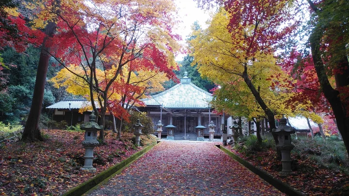 Nishiwaki Park in Nishiwaki - Ask AI | mindtrip