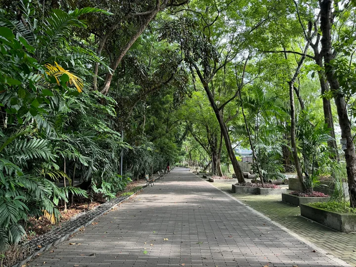Arroceros Forest Park in Manila - Ask AI | mindtrip