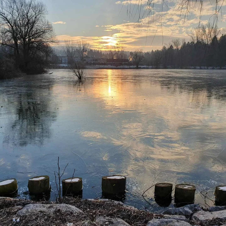 Koseze Pond in Ljubljana - Ask AI | mindtrip