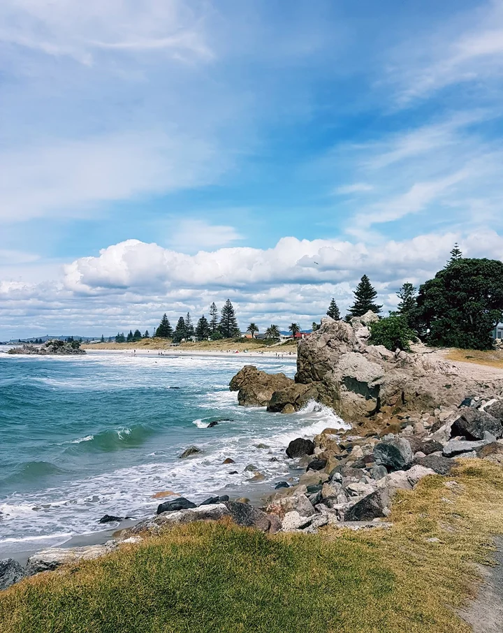 Moturiki Island in Tauranga, Bay of Plenty | Ask Anything