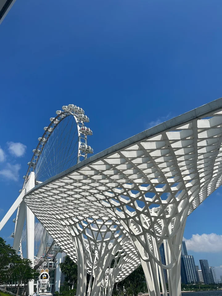 Happy Harbour in Shenzhen | What to Know Before You Go