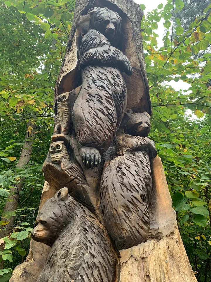 Bear's Den Scenic Lookout | What to Know Before You Go