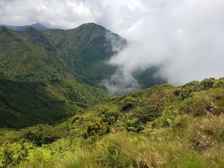 Pico da Vara in Nordeste, Azores - Ask AI | mindtrip