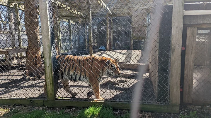 Plumpton Park Zoo in Rising Sun - Ask AI | mindtrip